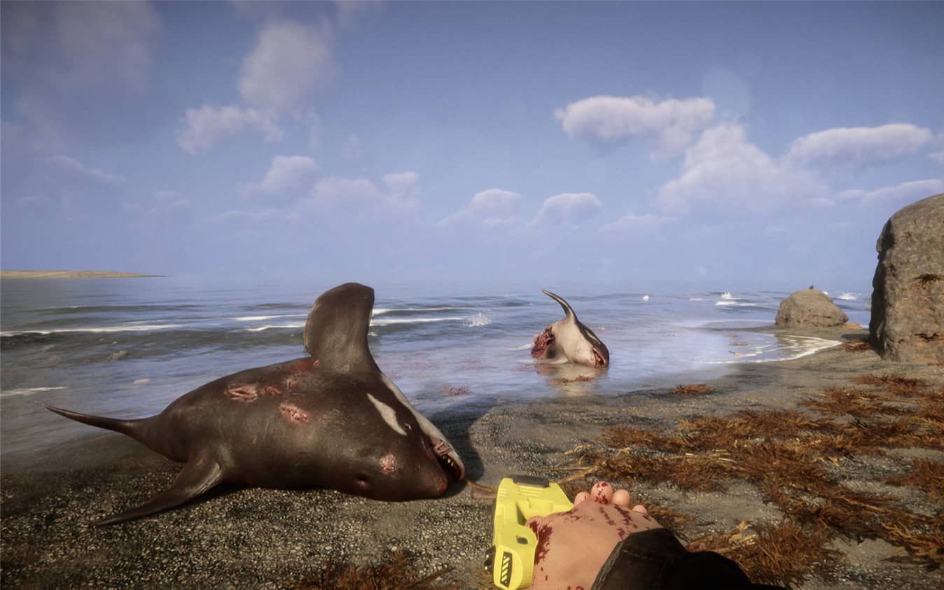 【森林之子】详细免费联机教程,保姆及教程