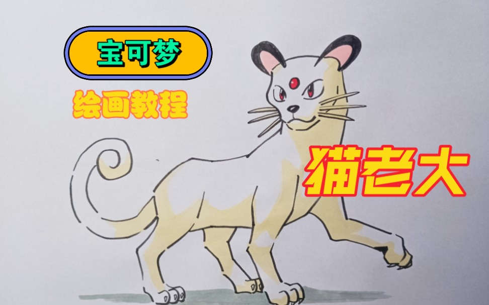 【宝可梦】绘画教程,画一只猫老大。