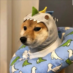 凯哥不会玩- 
