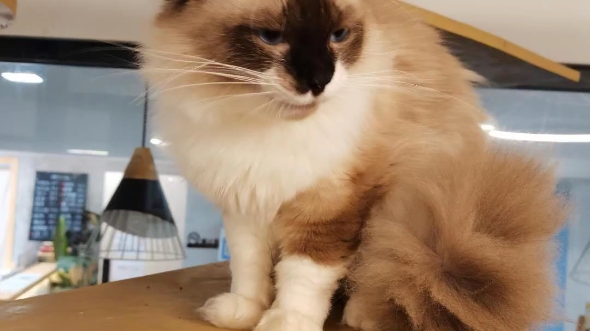 孩子考到动物医学,从小到大没有摸过小动物,看来还是有缘,没有惧怕,...