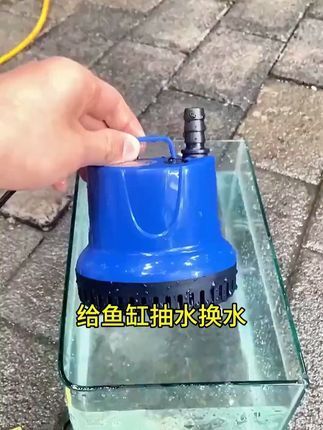 鱼缸底吸水泵 给鱼缸抽水换水就用这个底吸潜水泵#鱼缸过滤 #水族.