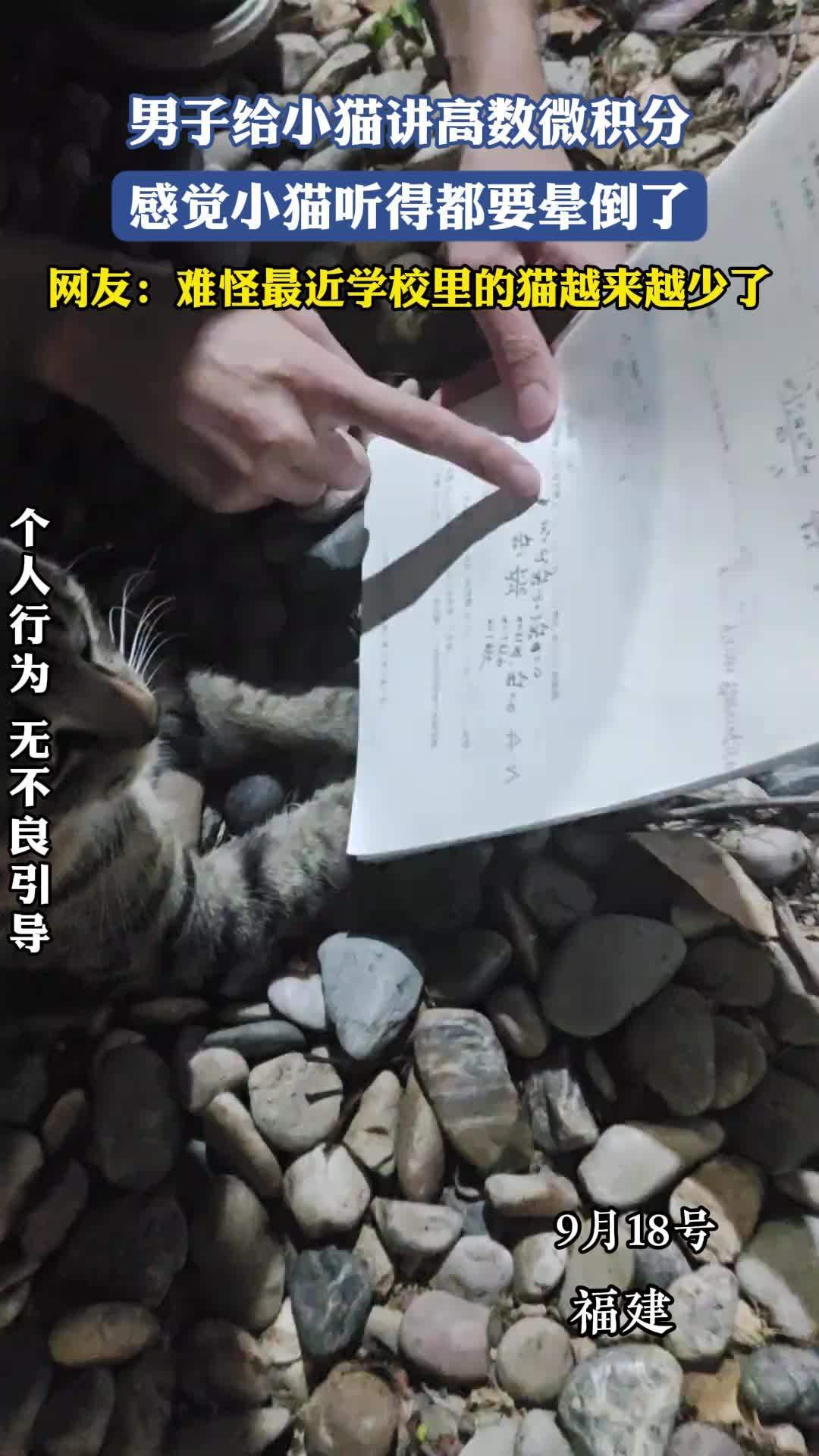 男子给小猫讲高数微积分,感觉小猫听得都要晕倒了