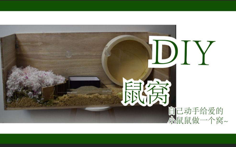 【自制鼠窝】自己动手用木板和亚克力板给小仓鼠做了个窝~