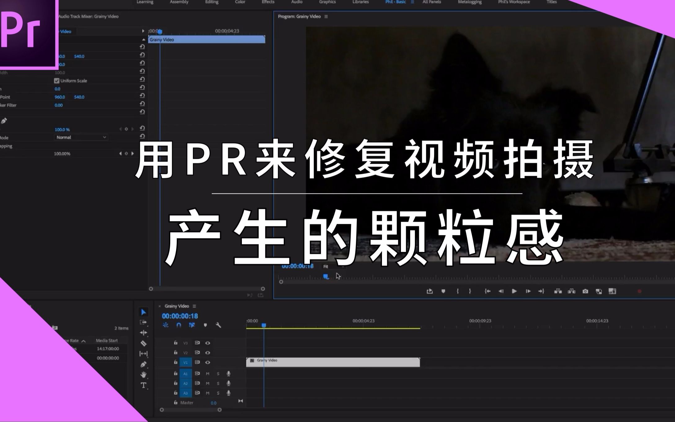 用PR来修复视频拍摄时产生的颗粒感
