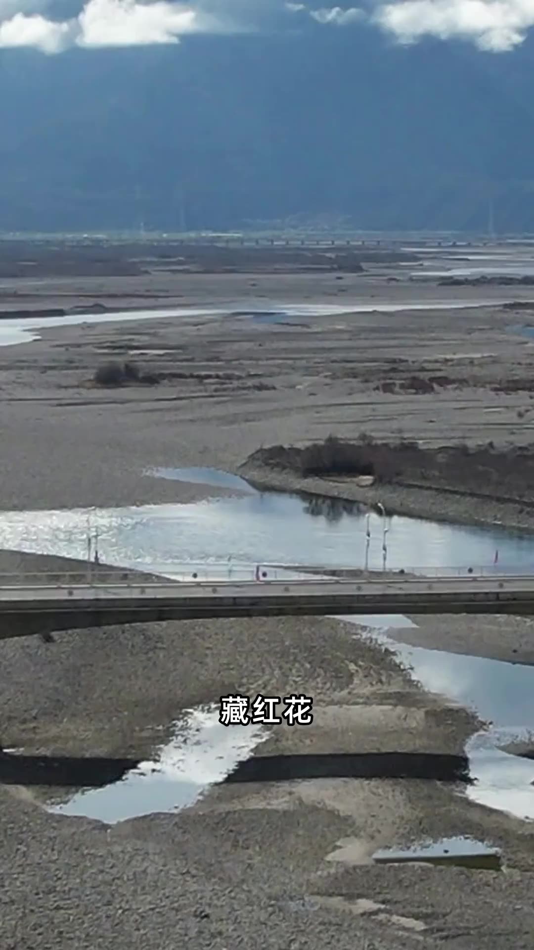 藏红花不是越多越好!女性每日最佳摄入量是多少?有哪些禁忌?