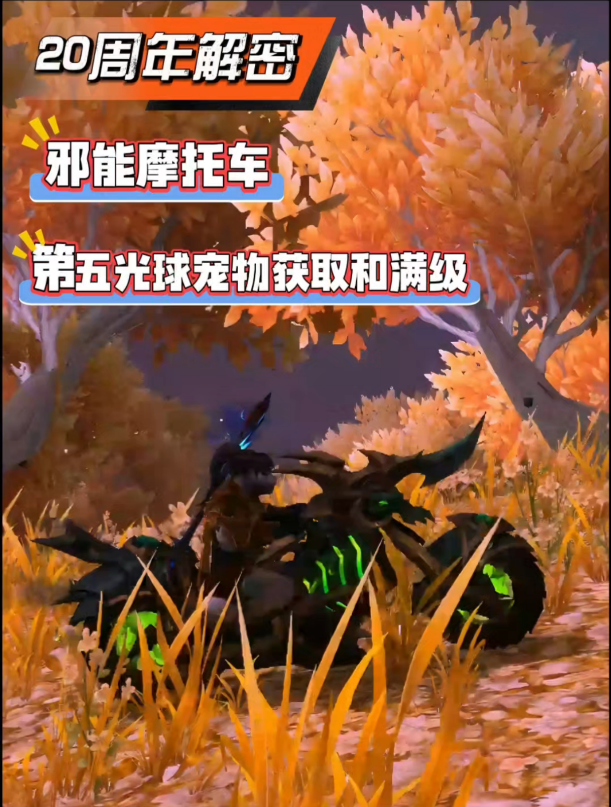 ...宠物和宠物升级快速获取攻略,轻松获得所需3只满级小宠物#魔兽世界...