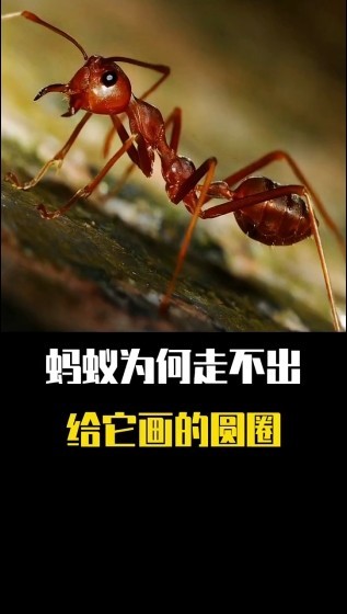 我们平时所使用的圆珠笔