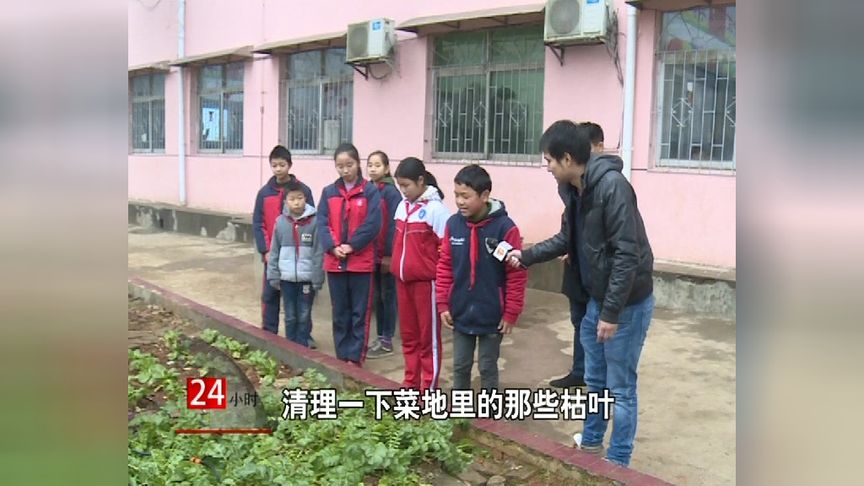 龙洲小学:开办“智能种植空间” 培养学生综合实践能力