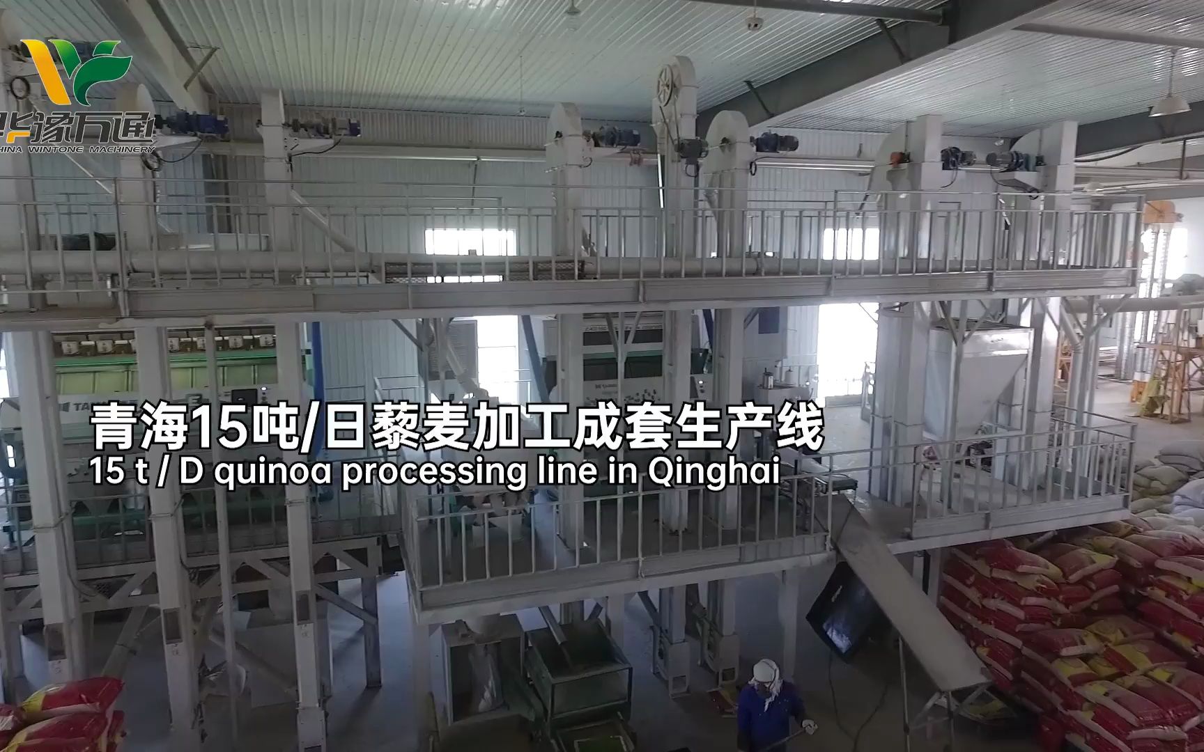 青海15吨藜麦脱皮生产线 藜麦米加工厂车间实录 全自动藜麦脱皮制米...