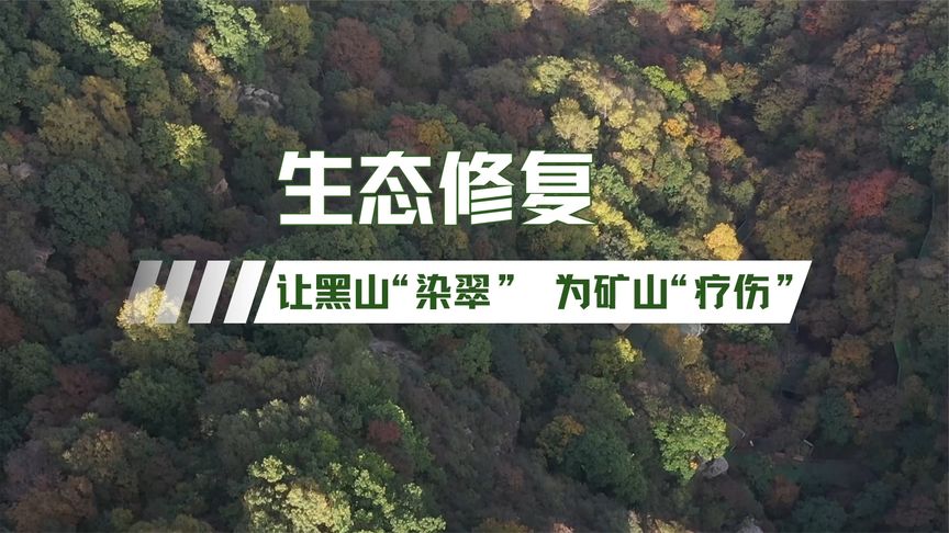 环保科普小课堂 | 生态修复,让黑山“染翠”为矿山“疗伤”
