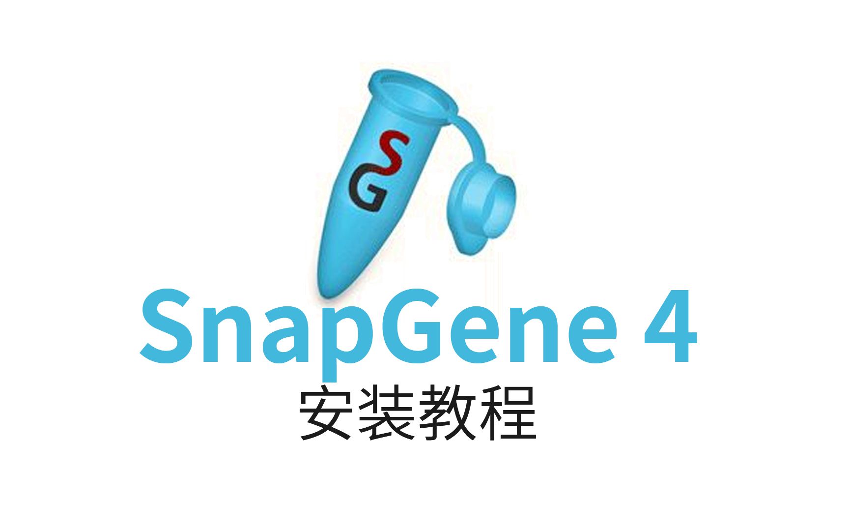 ...生物学软件限制性酶切位点分析引物设计序列比对序列作图结构域查找