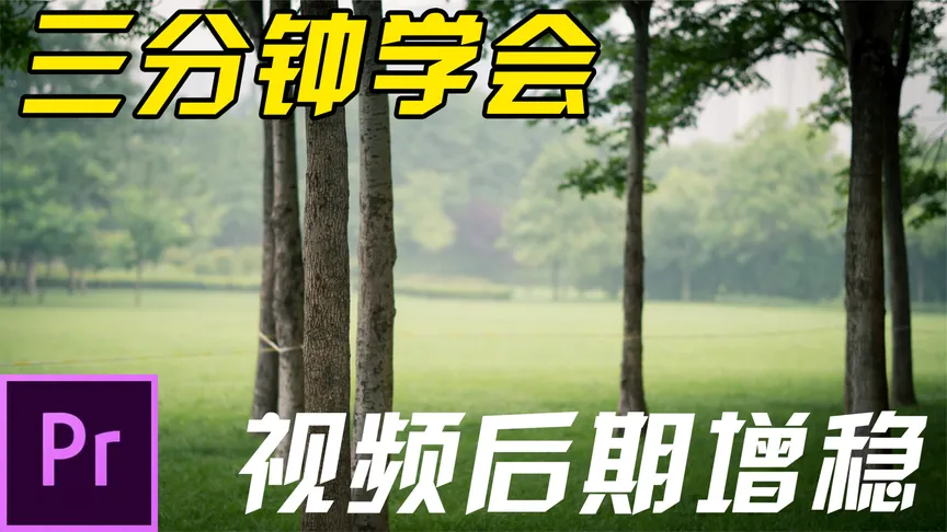 手持拍摄视频太抖!? 三分钟教会你后期防抖处理 PR教程 ProDAD