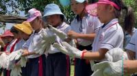 ...悟生活之美--中山市第一城小学三四年级关注身边中草药研学实践活动