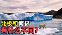 科学近距离第七季 第81集 北极和南极有什么不同?地球上最不可思议的...