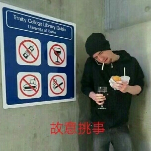 梨子ix 