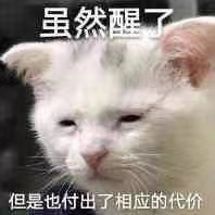 洛洛落珞络 
