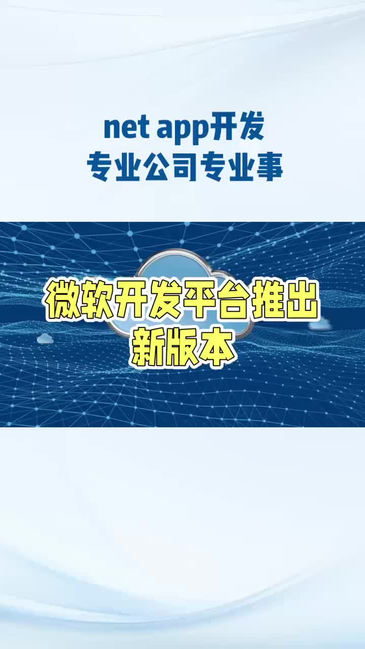 net app开发 专业公司 专业事