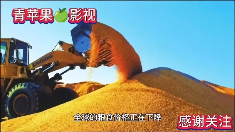 你知道国际粮食价格趋势如何,今年国内粮价会上涨吗