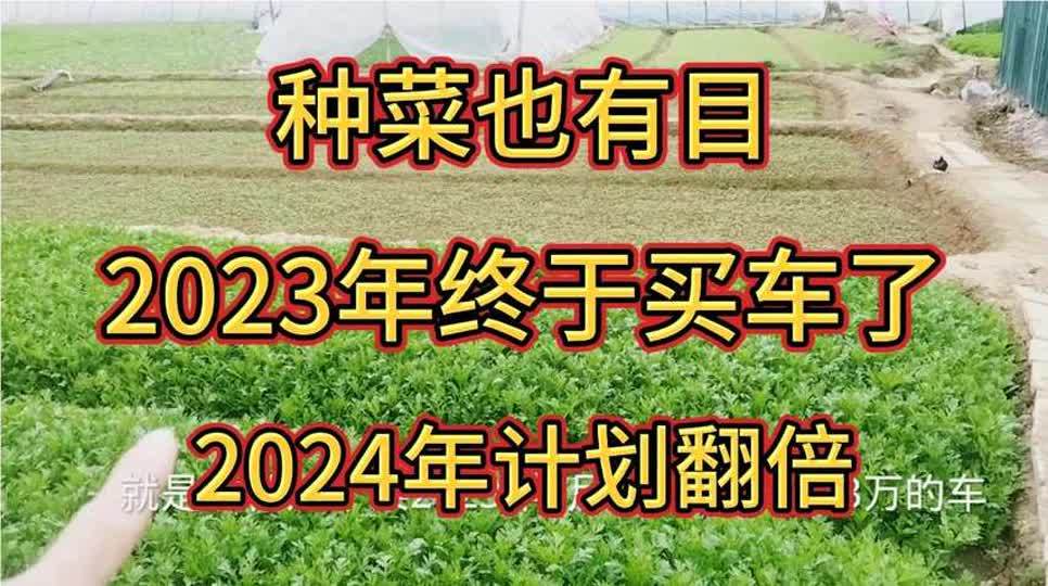 种菜也有计划!老乡2023终于买车了!他2024年也为自己定个小目标
