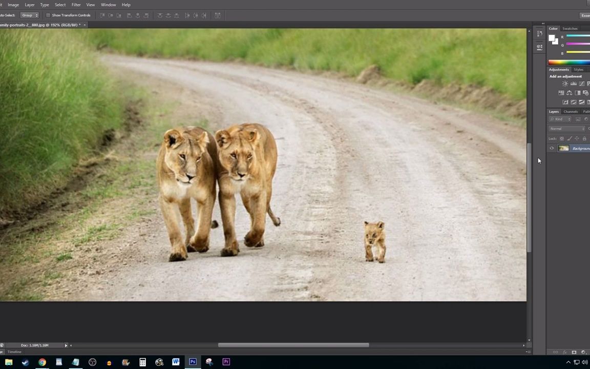如何在Photoshop CC中移动对象和人员