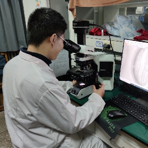 小刘爱上藻 