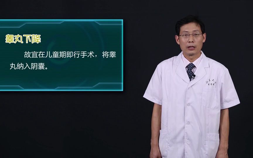 5.2.2 男性外生殖器