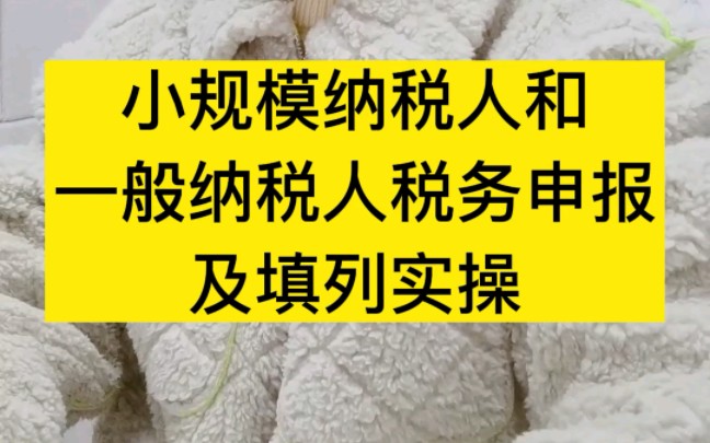 小规模纳税人和一般纳税人账务处理以及纳税申报流程!