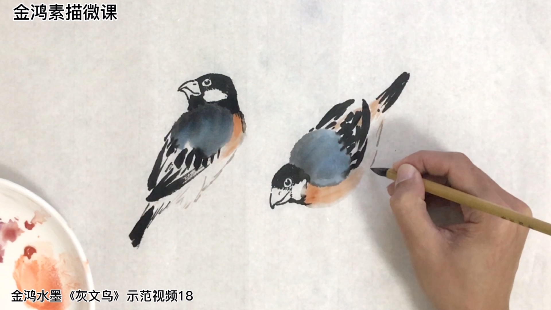 金鸿素描微课:蜡嘴灰文鸟水墨画法