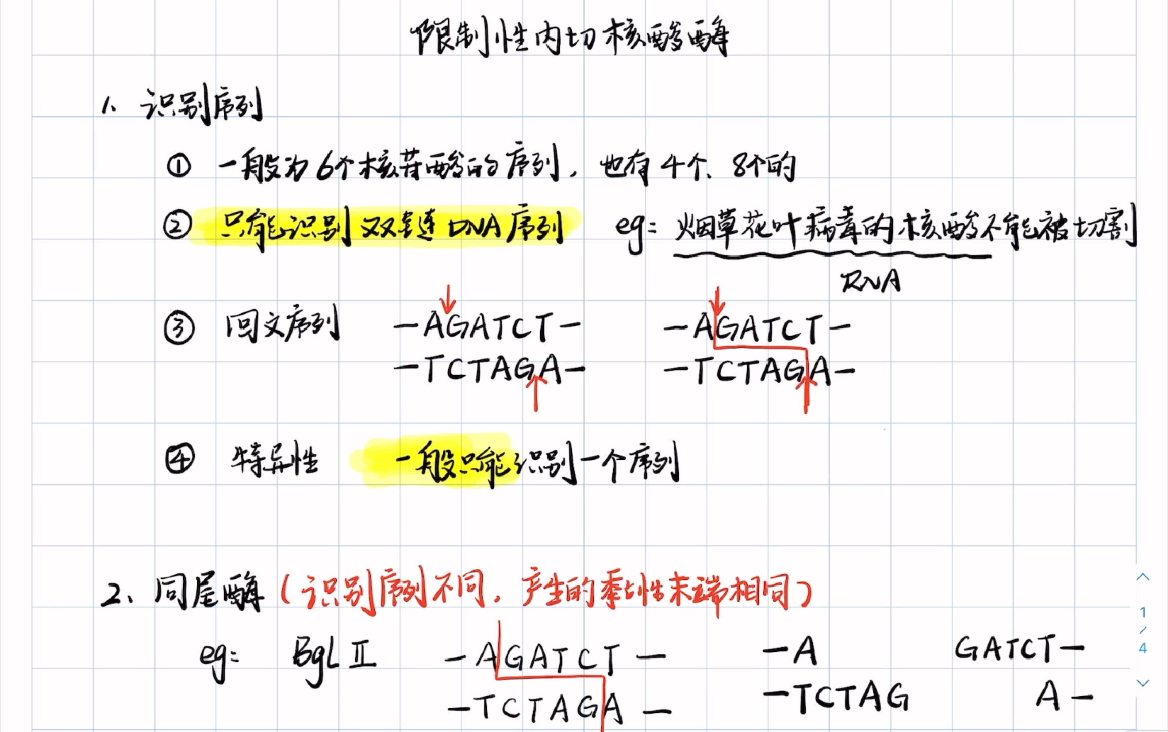 基因工程之如何选择合适的限制酶?