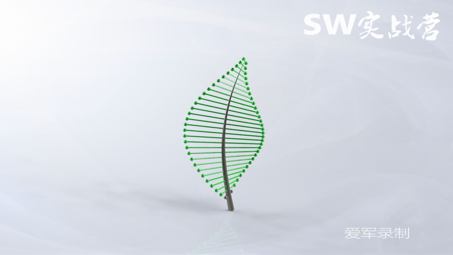 solidworks爱军教程SW实战营用随形变化功能绘制一片树叶,有难度