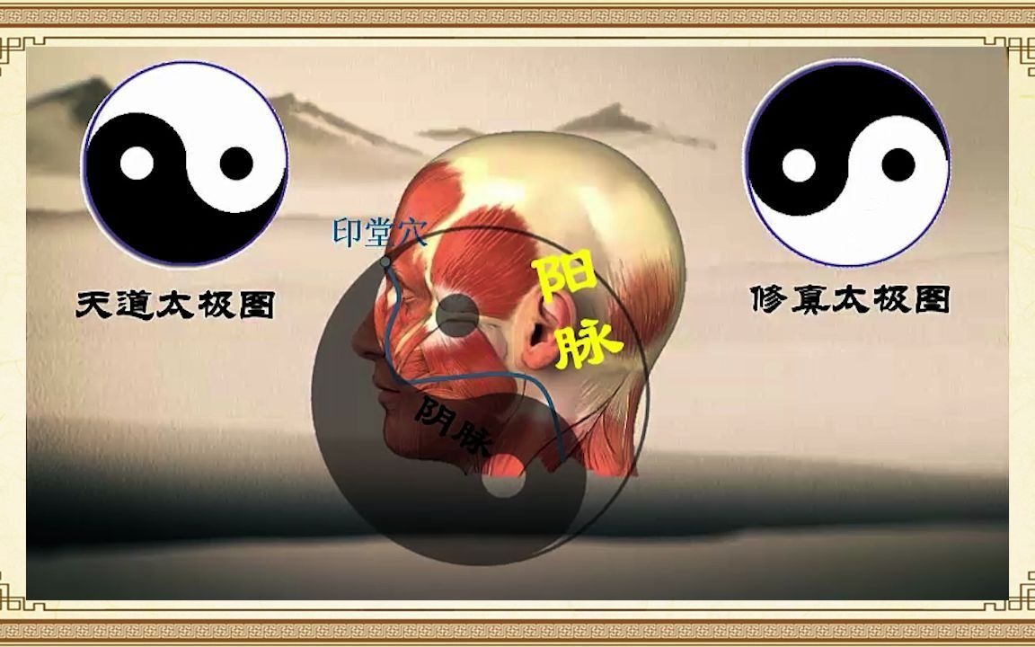 丹田竟是精胞的精核位置