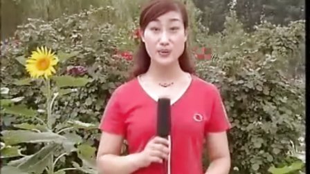 黄粉虫养殖技术