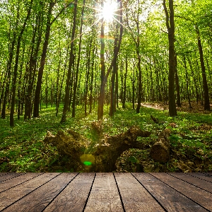 数据分析魏小林 