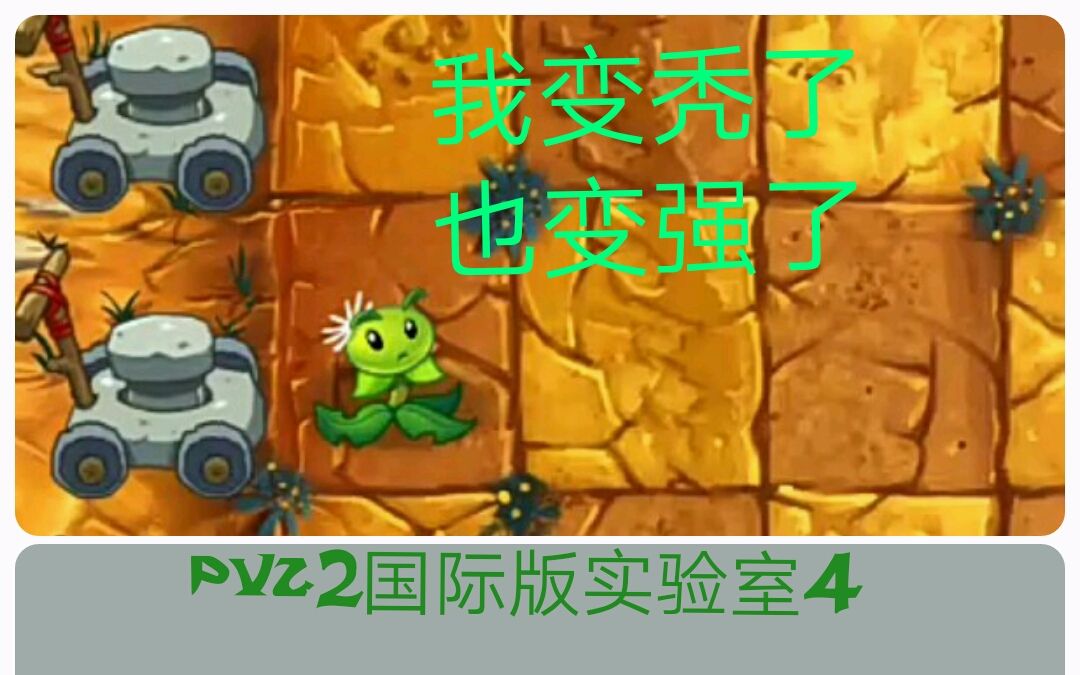 pvz2国际版实验室4:(先看简介)蒲公英的变强(秃)之旅