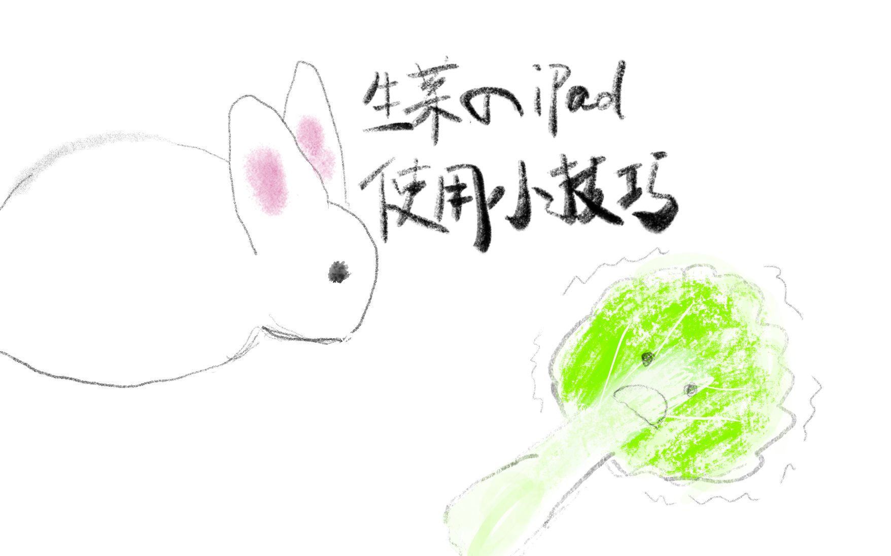 生菜のipad使用技巧分享-如何用ipad访问共享Windows电脑的文件