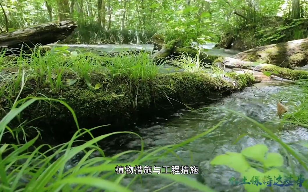 水土保持这些事儿 | 水土保持方案