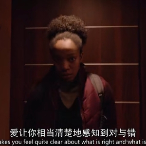 单翅目小飞C 