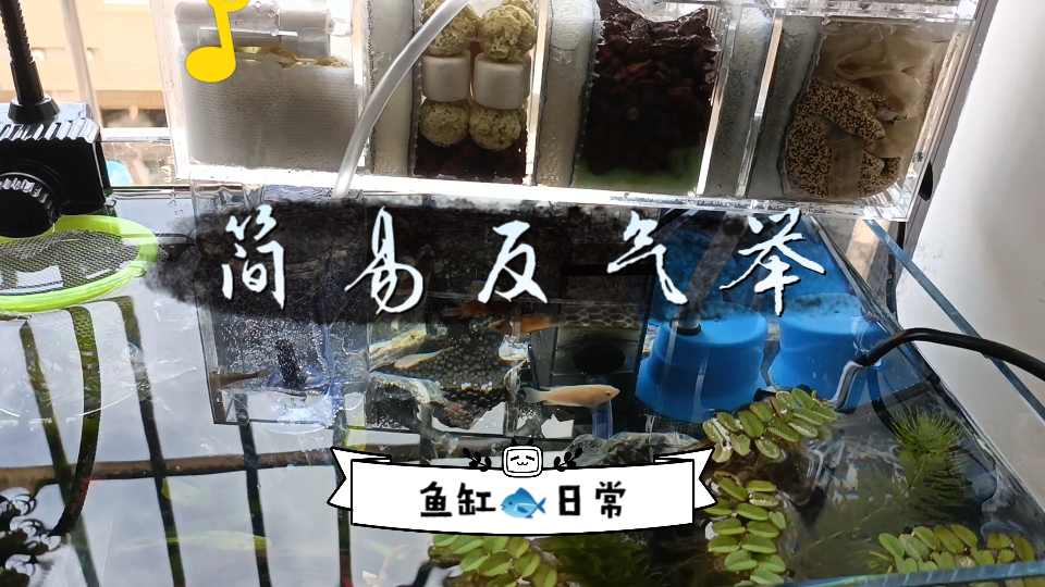 【鱼缸过滤】简易diy反气举