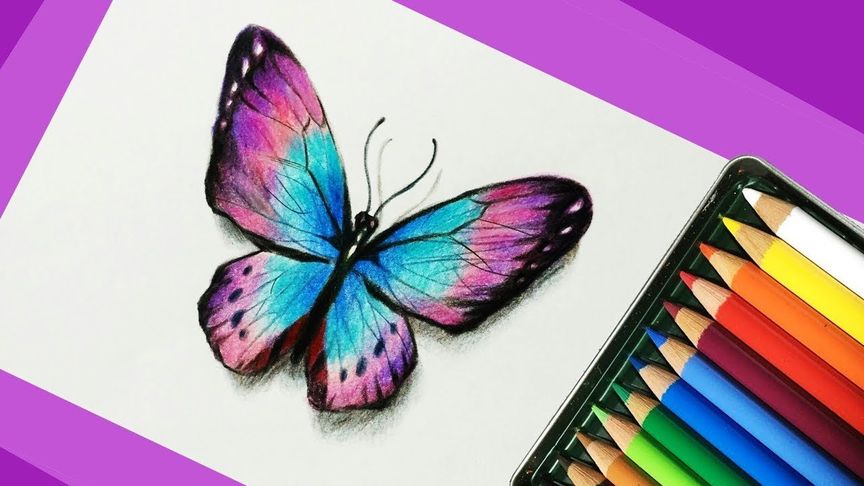 铅笔素描绘画视频教程,教你如何用彩色铅笔绘制一只蝴蝶