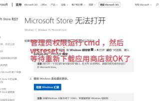 一键解决微软商店 Microsoft Store 闪退问题