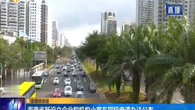 与你有关!海南省新设立企业和机构小客车指标申请办法公布