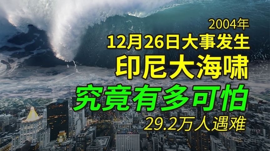 印度洋海啸到底多可怕,29万人遇难,51万人受伤,想起就害怕