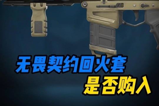 【无畏契约皮肤】为什么我说现在是入坑瓦最好的时机