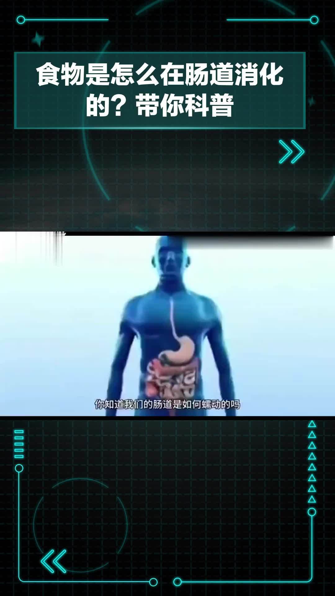 食物是怎么在肠道消化的?带你科普