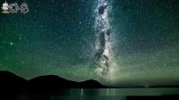 蚂蚁为何被称为生物界的爱美冠军?常用脚梳头,头可断发型不能乱