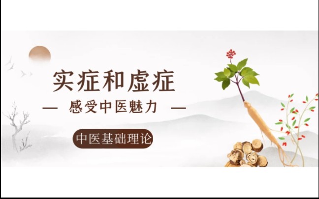 中医基础理论知识001 实症和虚症 模型构建