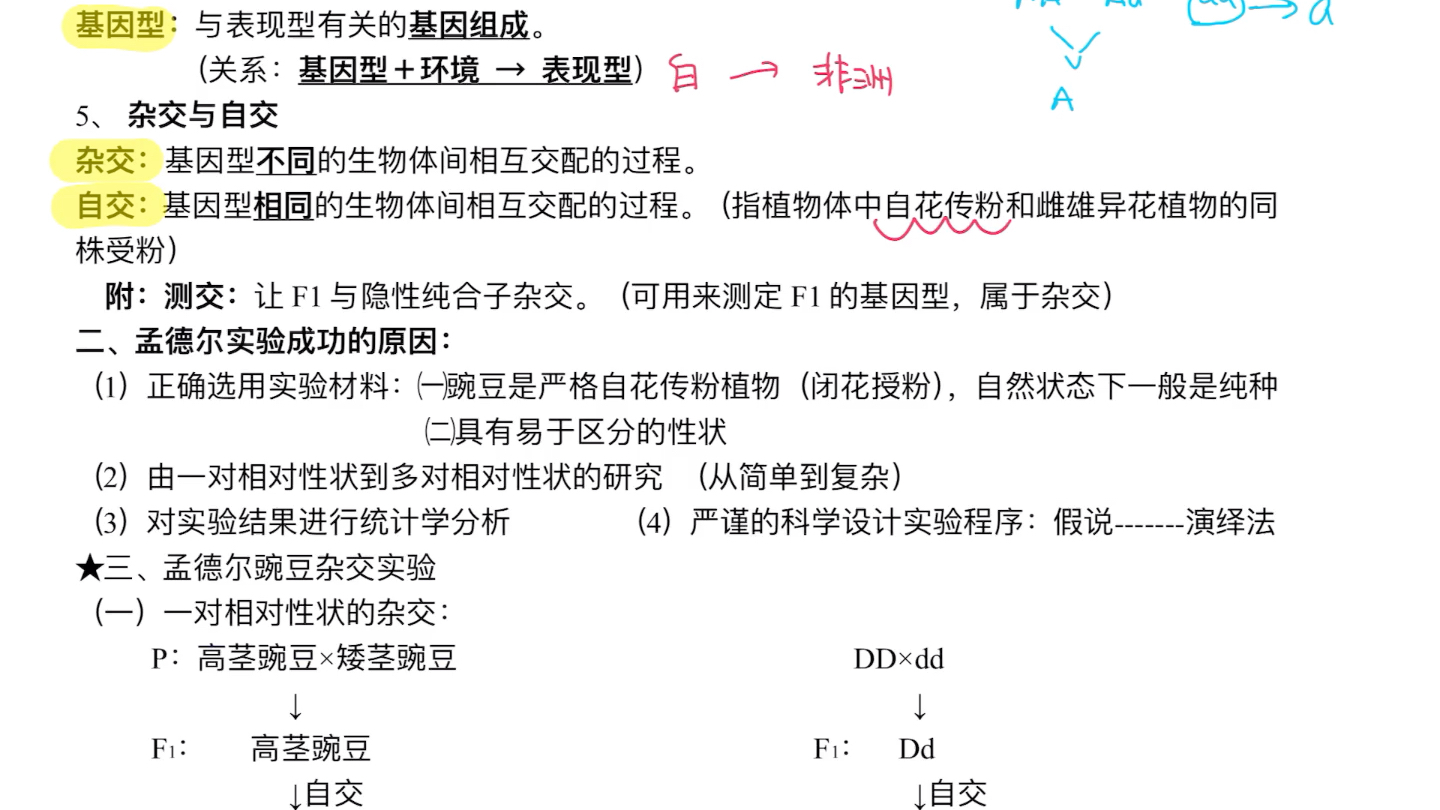 【菜鸟回顾13期】高一生物:基因的分离定律和自由组合定律知识串讲