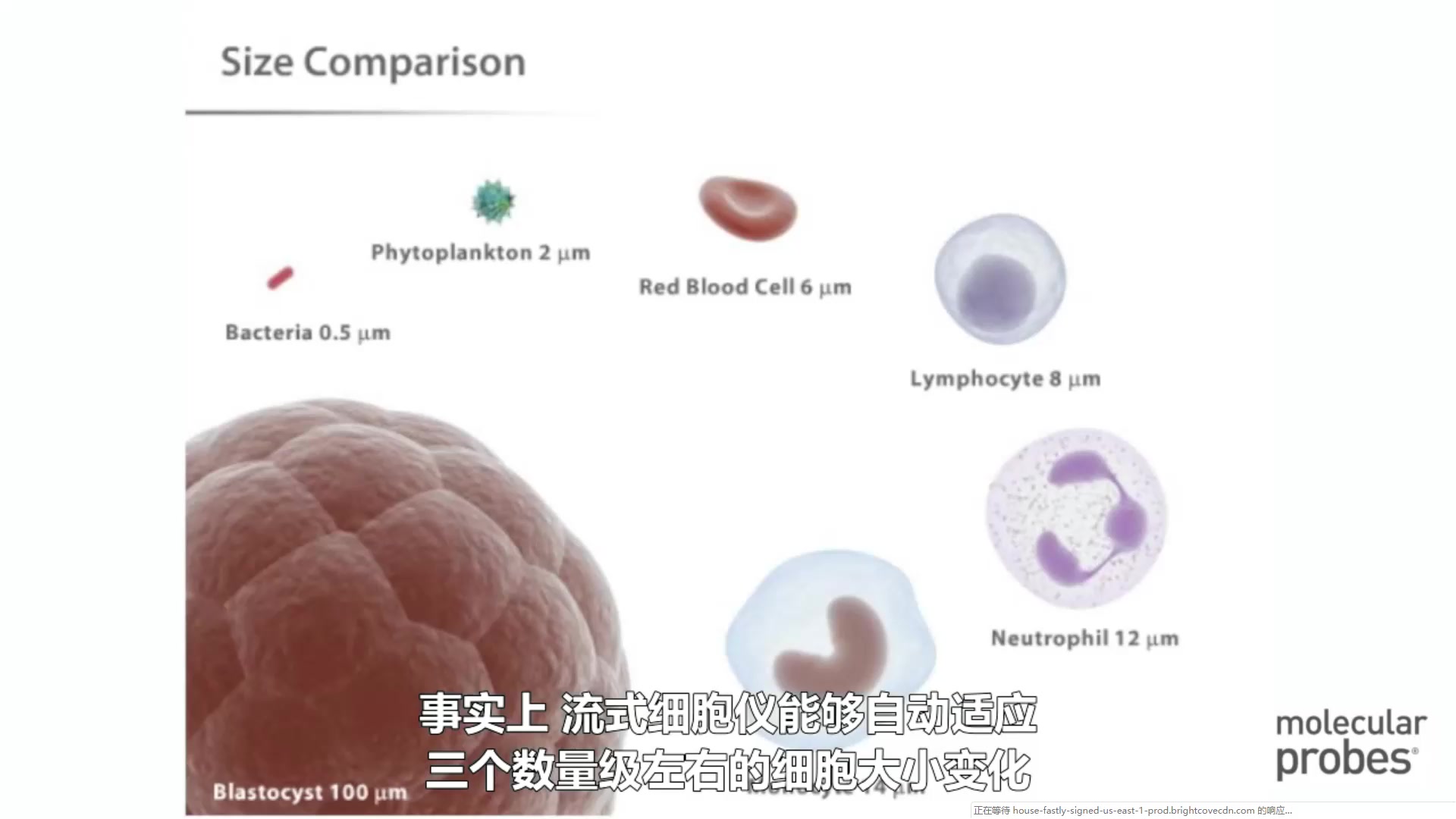 流式细胞术简介Introduction to flow cytometry