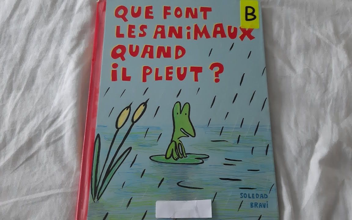QUE FONT LES ANIMAUX QUAND IL PLEUT 下雨的时候,动物们都在...