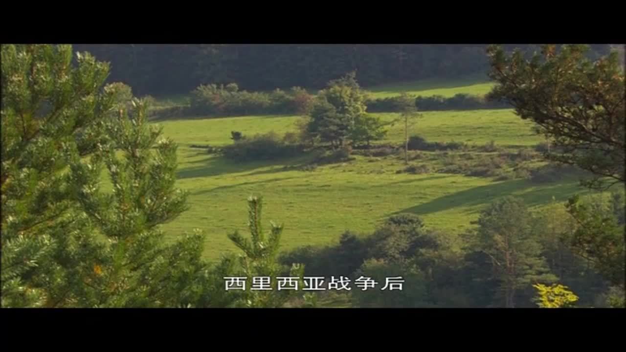 世界历史:欧洲的"七年战争"使两国崛起,一国衰落